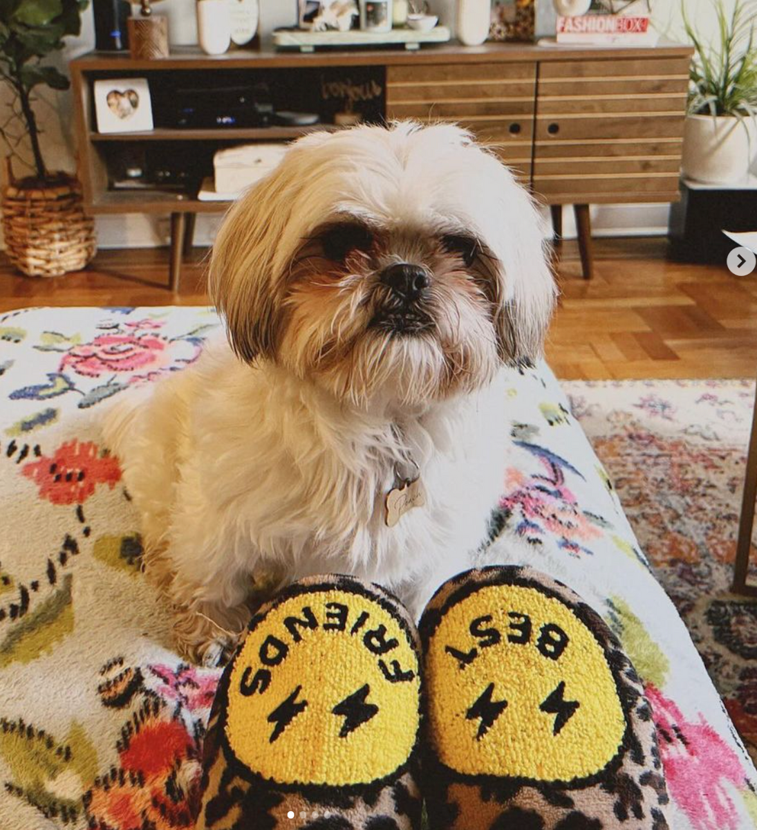 BEST FRIENDS SLIPPERS ♡ cozy slippers – BFFS & BABES